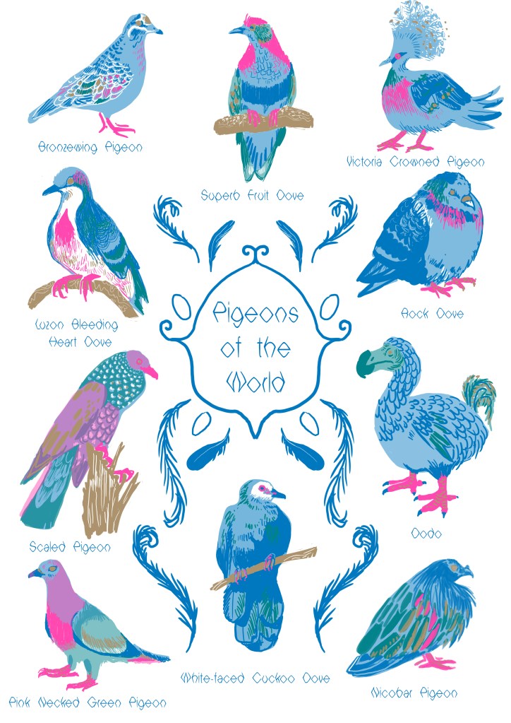 pigeon poster – The Art of Katie Whittle